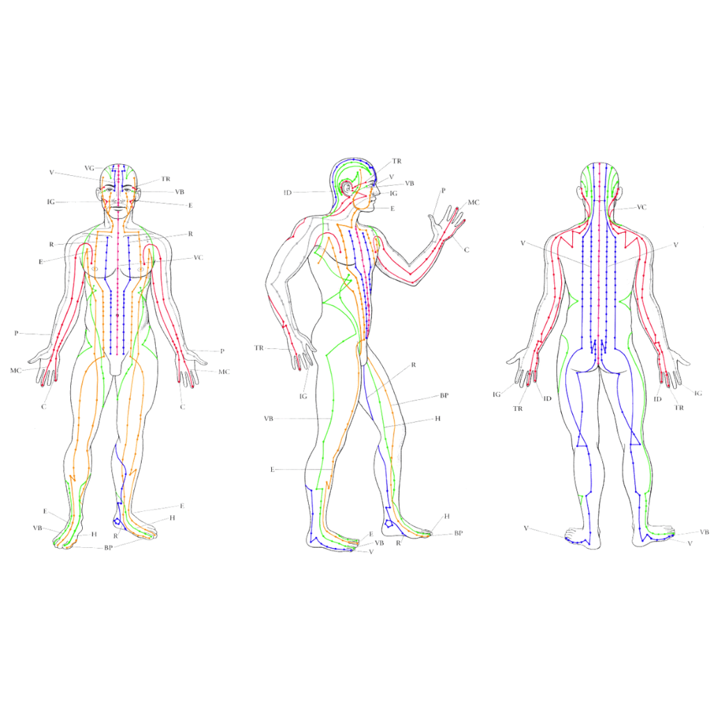 Meridian Energy Analysis Device – MEAD – The Sana Shop